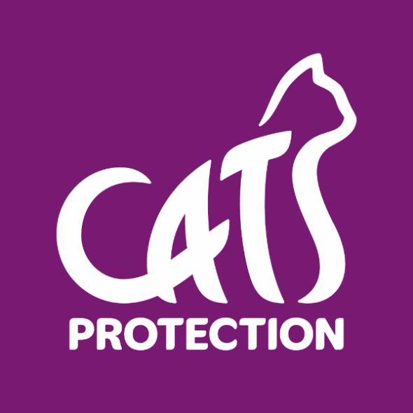 Listening to our 11,000 Volunteers and Employees - Cats Protection
